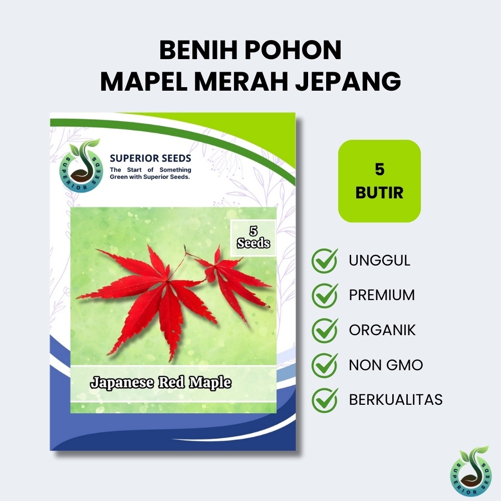 Jual Biji Benih Pohon Maple | Mapel Merah jepang (Superior Seeds ...