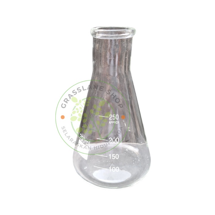 Jual JTTOP" LABU ERLENMEYER FLASK KACA GLASS 250 ML RRC | Shopee Indonesia
