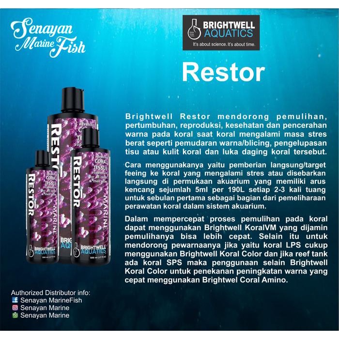 Jual Brightwell Restor 125ml (perawatan dan pencerahan warna) | Shopee ...