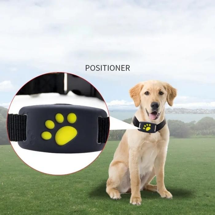 Jual Space - Z8-A Mini Gps Pet Tracker Collar Precise Positioning Long Standby | Shopee Indonesia