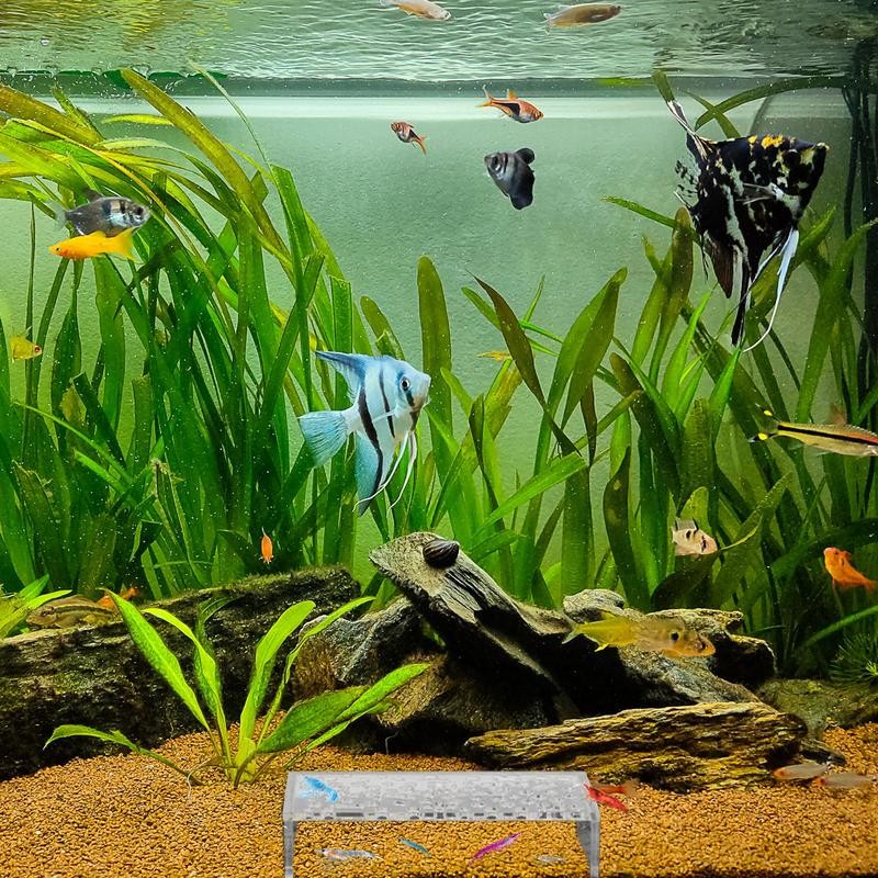 Jual Shrimp Cave Acrylic Shrimp Tunnel Aquarium Shrimp Hideout ...