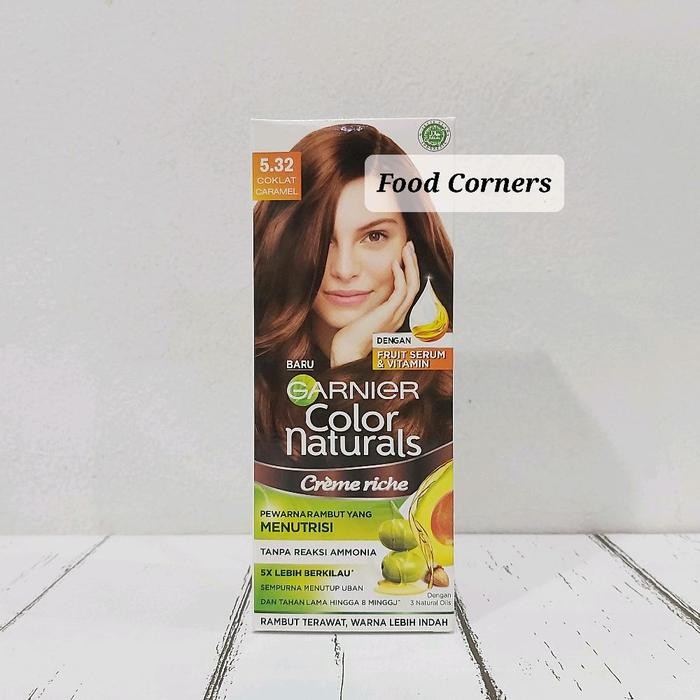Jual Garnier Hair Color Naturals Box Creme Riche Ultra Color Pewarna ...