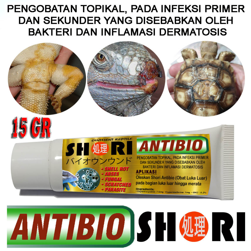 Jual SHORI ANTIBIOTIK SALEP OBAT SHELL ROT ABSES SULCATA REPTIL ANTI ...
