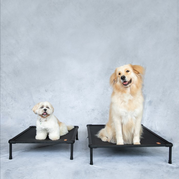 Jual Bisa Grab! The Duracot (Large) -- Elevated Dog Bed (Pet Cot ...