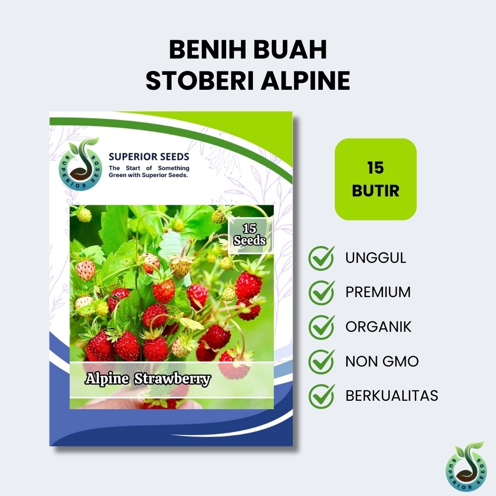 Jual Biji Benih Buah Stoberi | Strawberry Alpine (Superior Seeds ...
