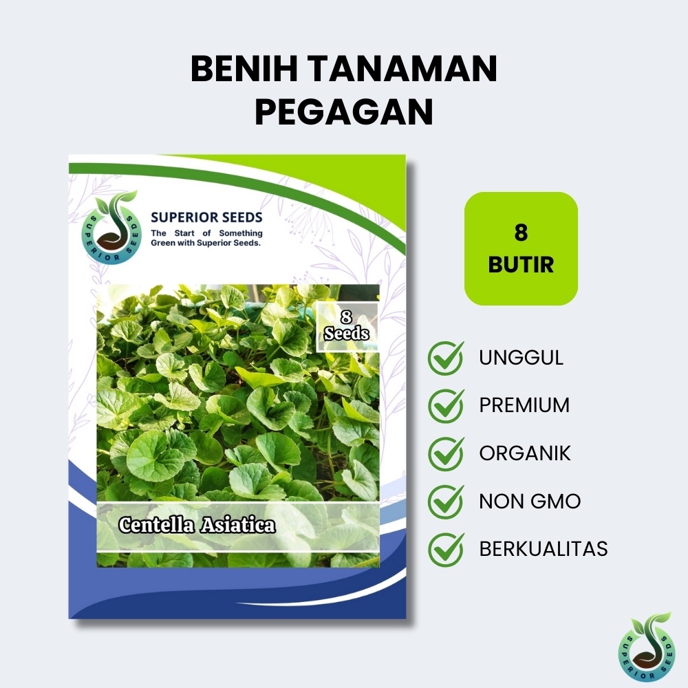 Jual Biji Benih Pegagan (Superior Seeds) | Shopee Indonesia