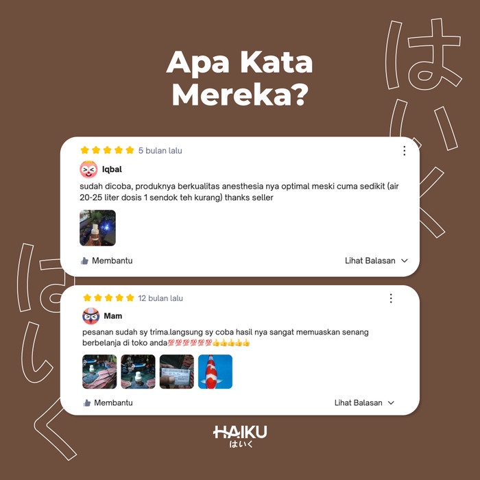Jual Pet- Koi Anesthesia 100 ml Bius Penenang Ikan Koi Sedation Haiku ...