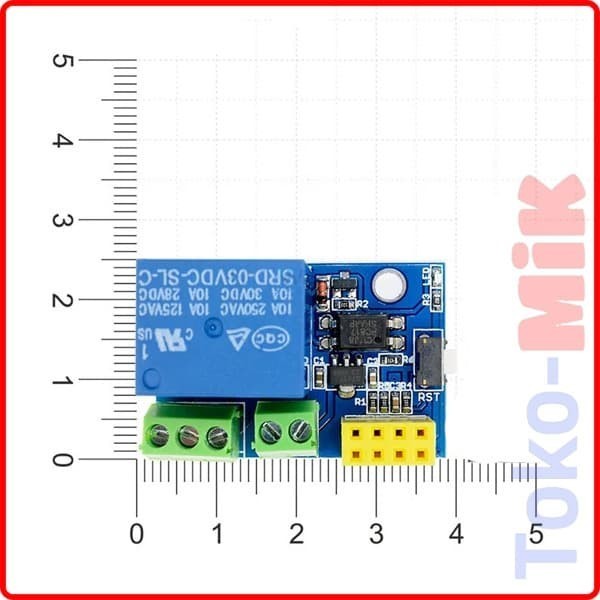 Jual (Expert) Module Relay untuk ESP8266 ESP 8266 ESP01 ESP-01S IOT MCU ...