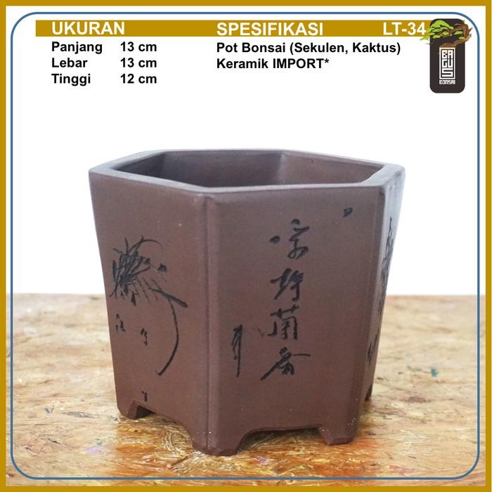 Jual PREMIUM POT BONSAI KERAMIK IMPORT_segi enam_LT-34 (@bonsaibagus ...