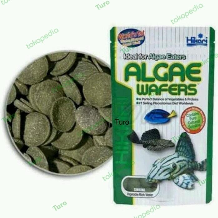 Jual hikari algae wafer 82g 82 gram makanan pakan wafers ikan sapu ...