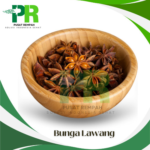 Jual 50g Bunga Lawang Alami Star Anise Premium / Bumbu Pelengkap ...