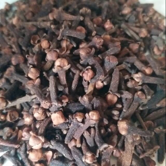 Jual 50gr CENGKEH KERING CLOVES Rempah herbal asli alami bumbu dapur ...