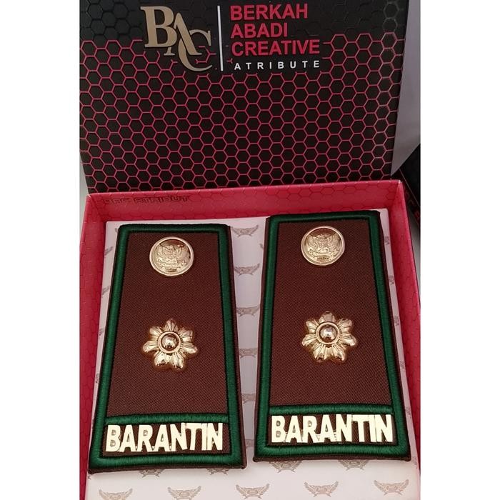 Jual PREMIUM Pangkat Pdh Barantin 3D Kain Logam Exclusive | Shopee ...