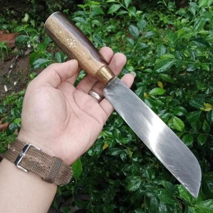 Jual pisau dapur baja tajam siap pakai super tajam tarisi jasinga ...