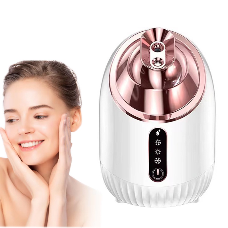 Jual New Facial Steamer Cold & Hot Nano Spray Skin Moisturizing Steam ...