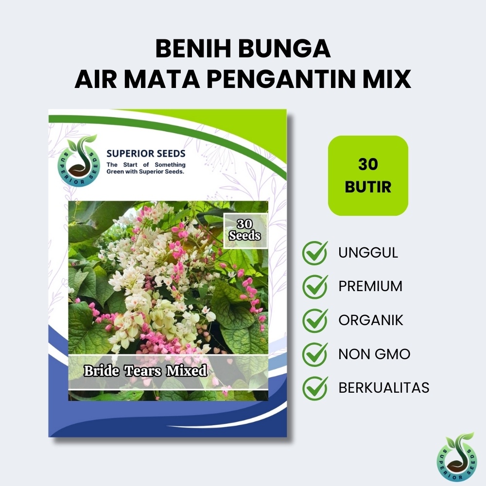 Jual Biji Benih Bunga Air Mata Pengantin Mix Warna Merah & Putih ...
