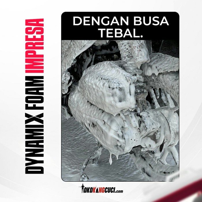 Jual SCHOLE DYNAMIX FOAM IMPRESA 20 LITER - TOUCHLESS SHAMPOO | Shopee ...