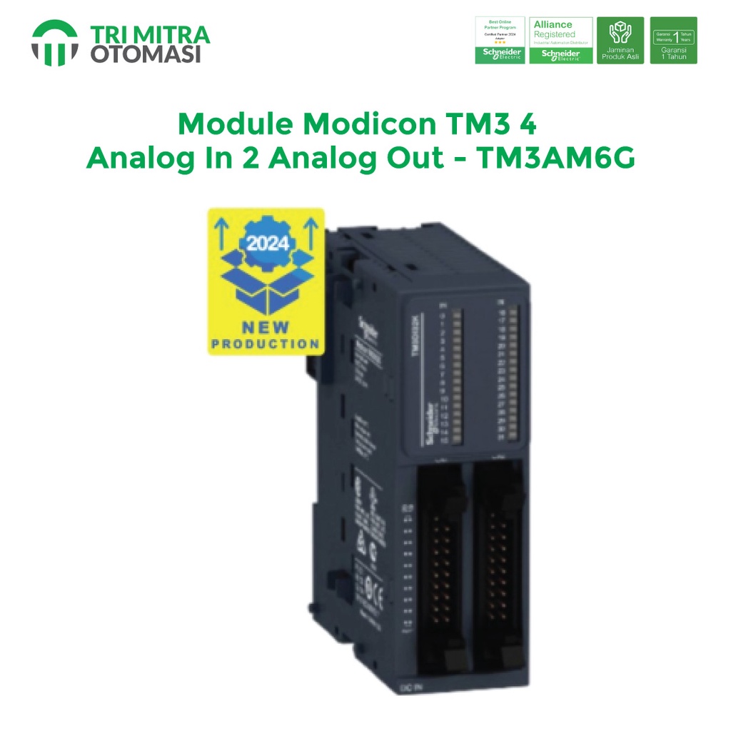 Jual Schneider Module Modicon TM3 4 Analog In 2 Analog Out - TM3AM6G | Shopee Indonesia
