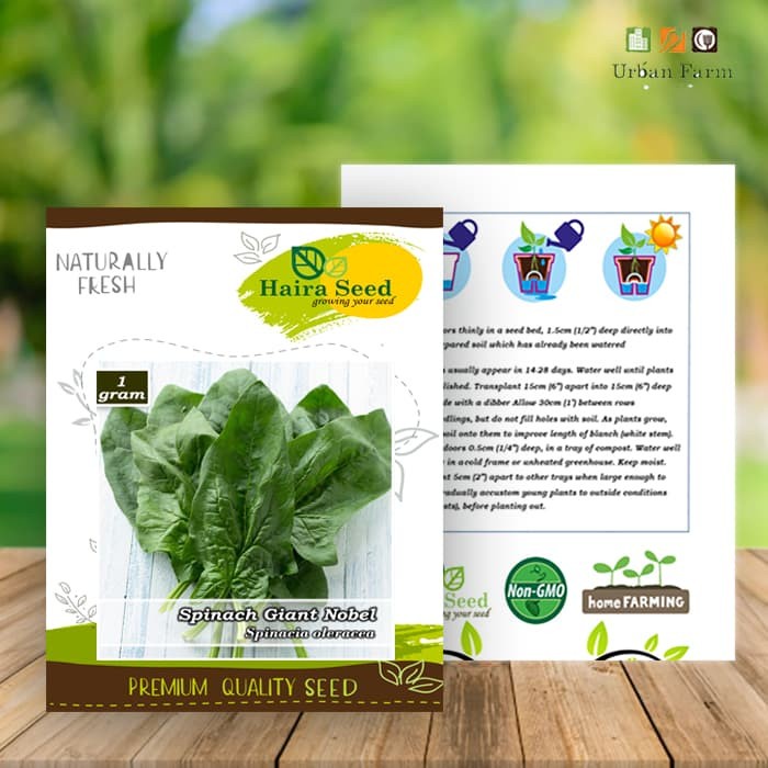 Jual Benih-Bibit Bayam Jepang Giant Nobel (Haira Seed) | Shopee Indonesia