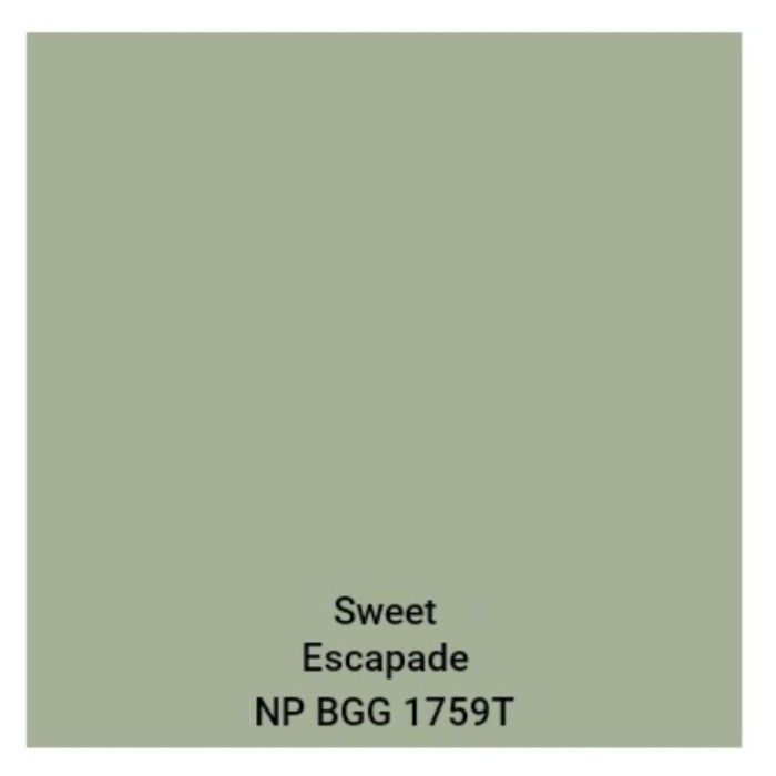 Jual (TopSeller) CAT TEMBOK AVITEX 1KG DINDING ATAP PLAFON GYPSUM ...