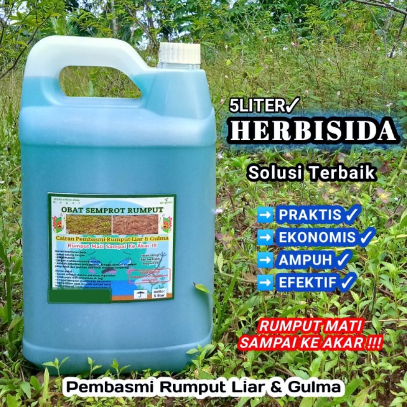 Jual Cairan Pembasmi Rumput Liar & Gulma/Herbisida/Rumput Mati Sampai ...