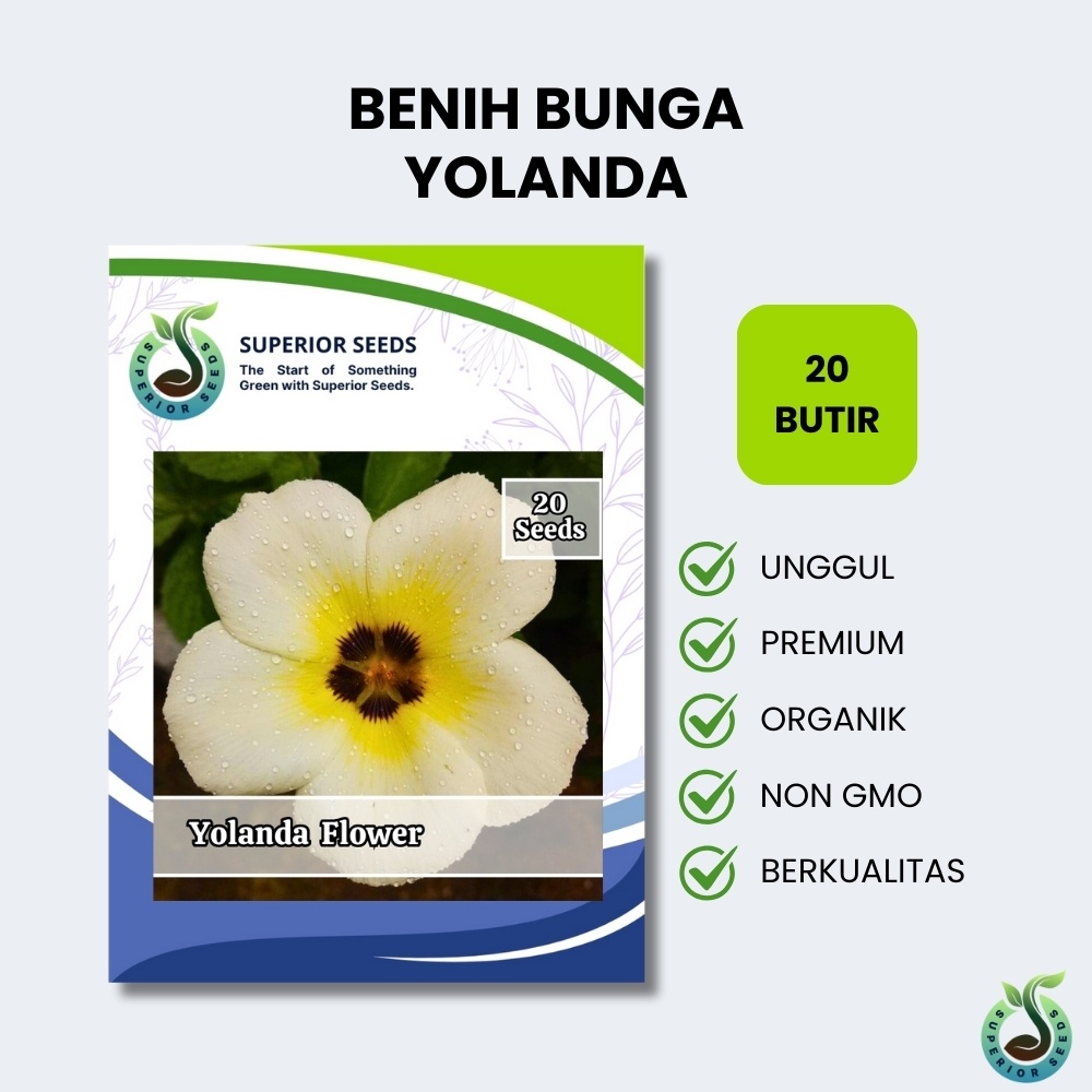 Jual Biji Benih Bunga Yolanda (Superior Seeds) | Shopee Indonesia