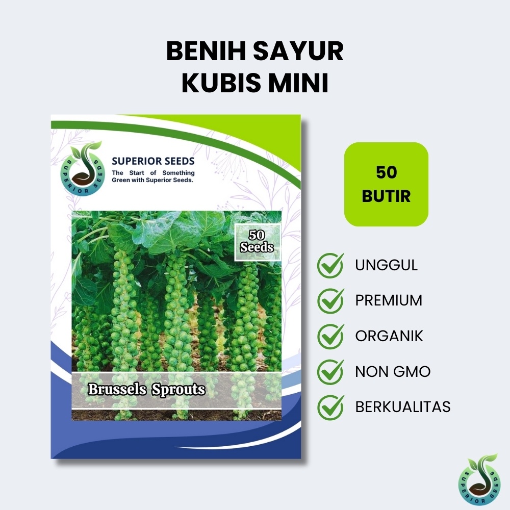 Jual Biji Benih Sayuran Kubis Mini | Brussel Sprout (Superior Seeds ...