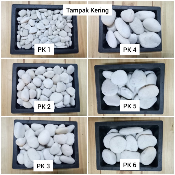 Jual Batu Putih Kupang 10 KG (Batu Alam Koral Sikat Hias Taman) | Shopee Indonesia