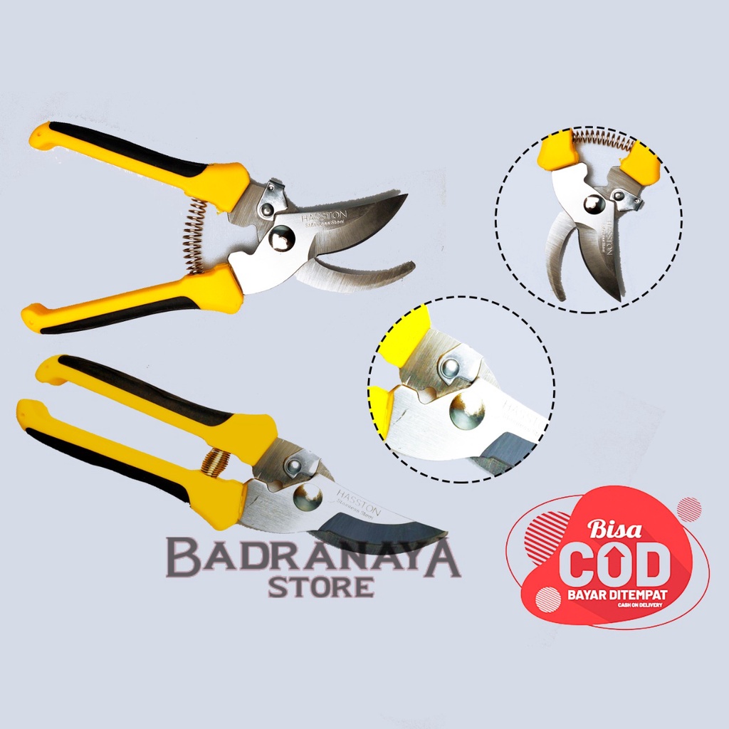 Jual Baru Gunting Dahan Hasston Prohex Ranting Bunga Tanaman Pohon ...