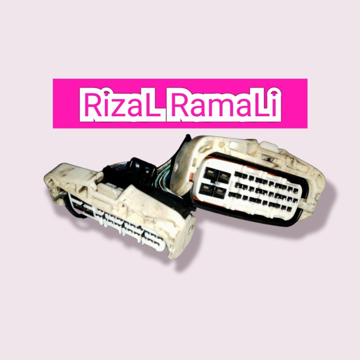 Jual Soket Modul Abs Innova Hilux Fortuner (2Nd) | Shopee Indonesia