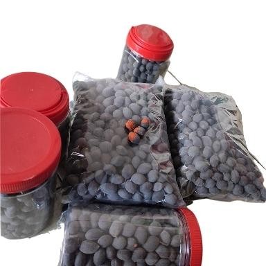 Jual New Buah asam kranji /Dialium indum | Shopee Indonesia