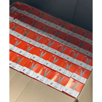 Jual Fischer S6 Tanpa Skrup Viser S6 Tanpa Baut 1 Kotak +- 100 Pcs ...