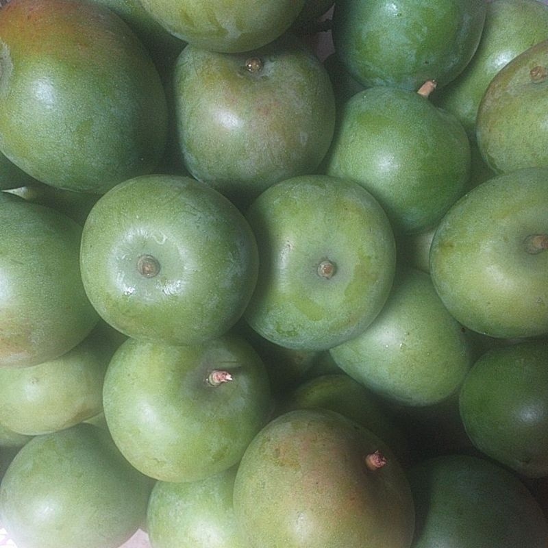 Jual mangga muda apel 1 kg/mangga rujak | Shopee Indonesia