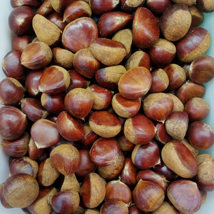 Jual Kacang Chestnut Korea mentah 1kg | Shopee Indonesia