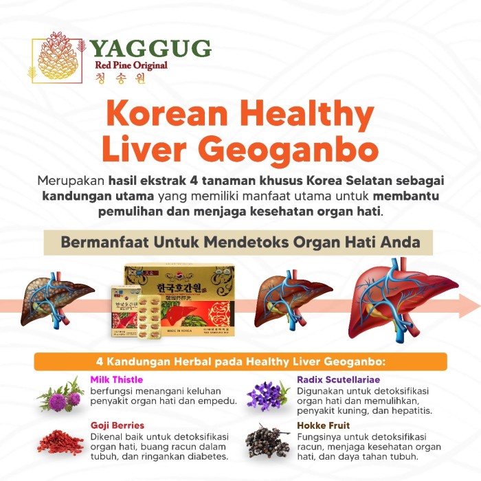 Jual Obat Liver - Healthy Liver Geoganbo Korea 120 Tabs | Shopee Indonesia