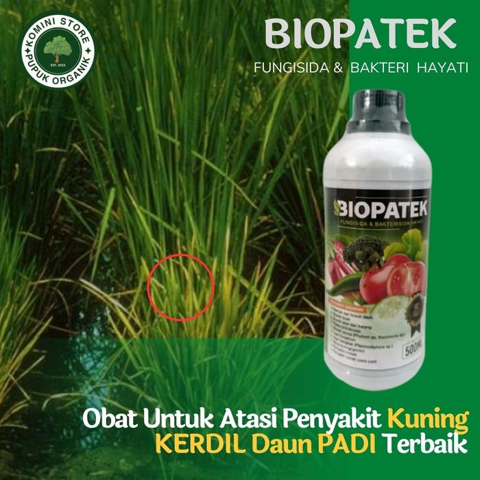 Jual FUNGISIDA KUNING DAUN PADI TERAMPUH BIOPATEK 500ML-Obat semprot kuning kerdil padi manjur ...