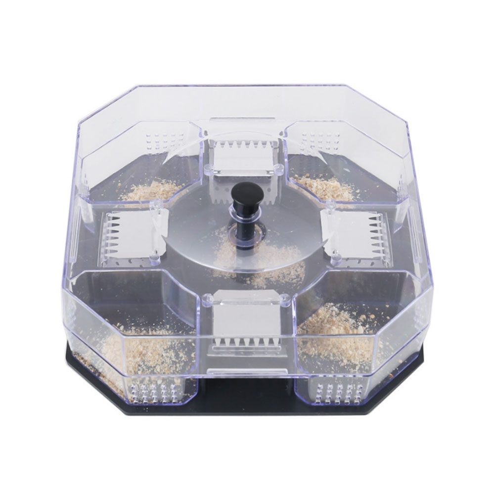 Jual Household Cockroach Trap Box Cockroach Insect Pets Cockroach Bug ...