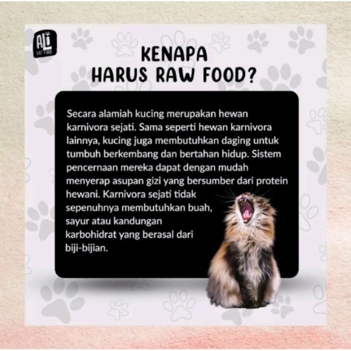 Jual Pet- Ali Cat Raw Food/Makanan Kucing 500g | Shopee Indonesia