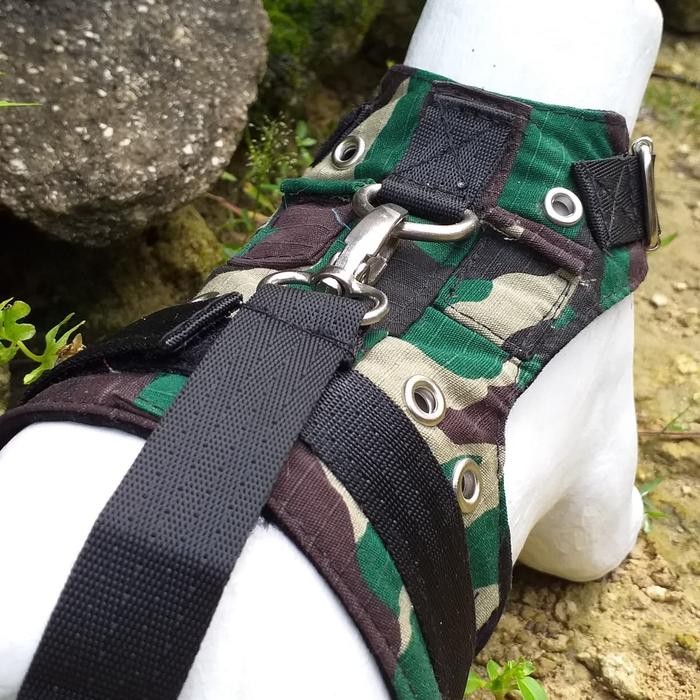 Jual PREMIUM harness otter, kucing dan musang keren | Shopee Indonesia