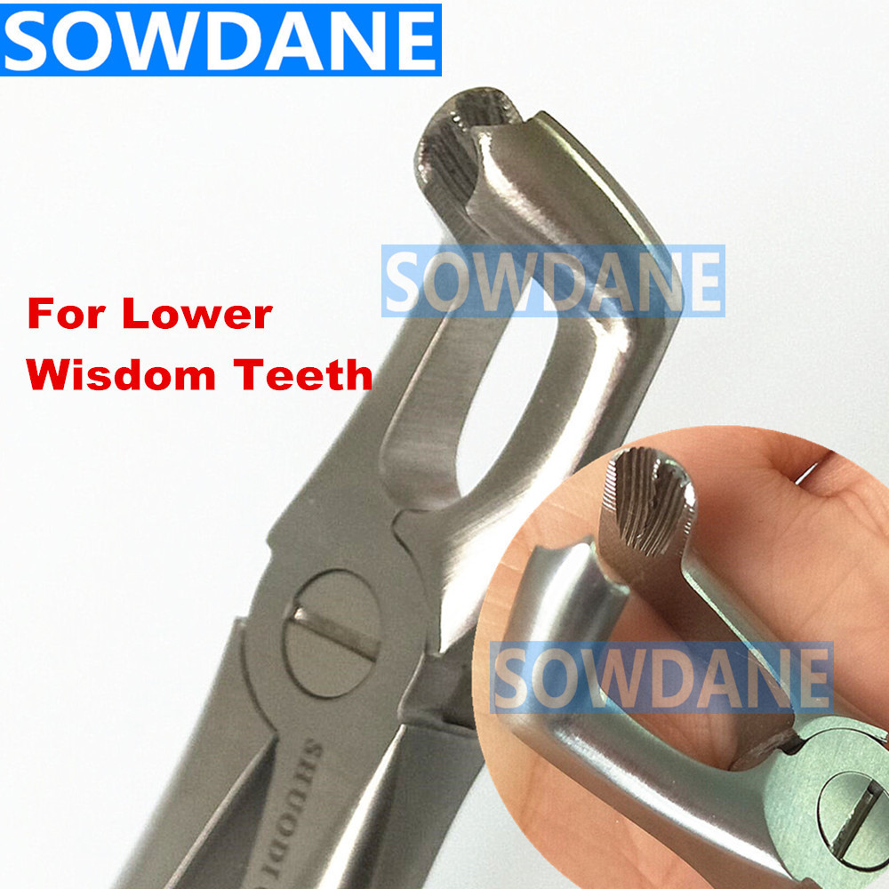 Jual 1 piece Dental Lower Mandibular Molars Wisdom teeth extraction ...