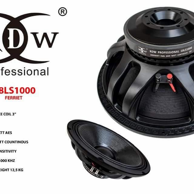 Jual Speaker Rdw 18 Ls1000 18Ls1000 | Shopee Indonesia