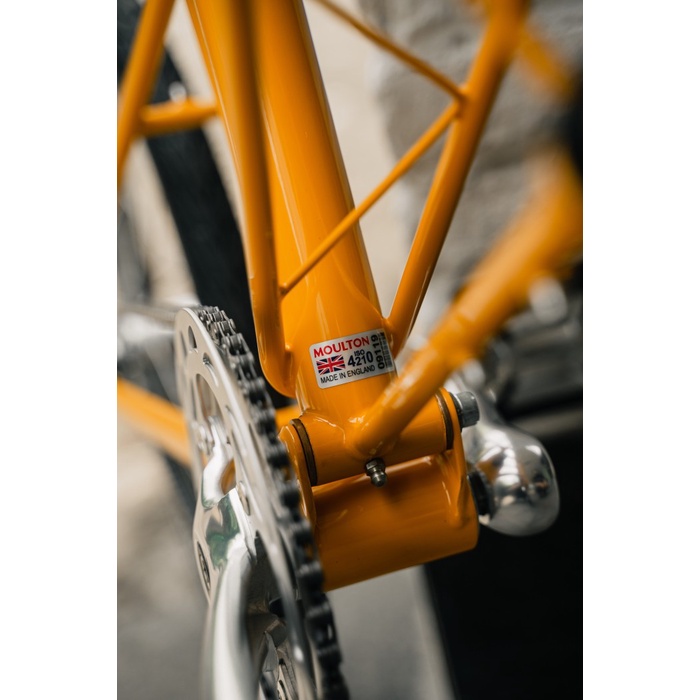 Jual Moulton Tsr 2 - Golden Yellow | Shopee Indonesia