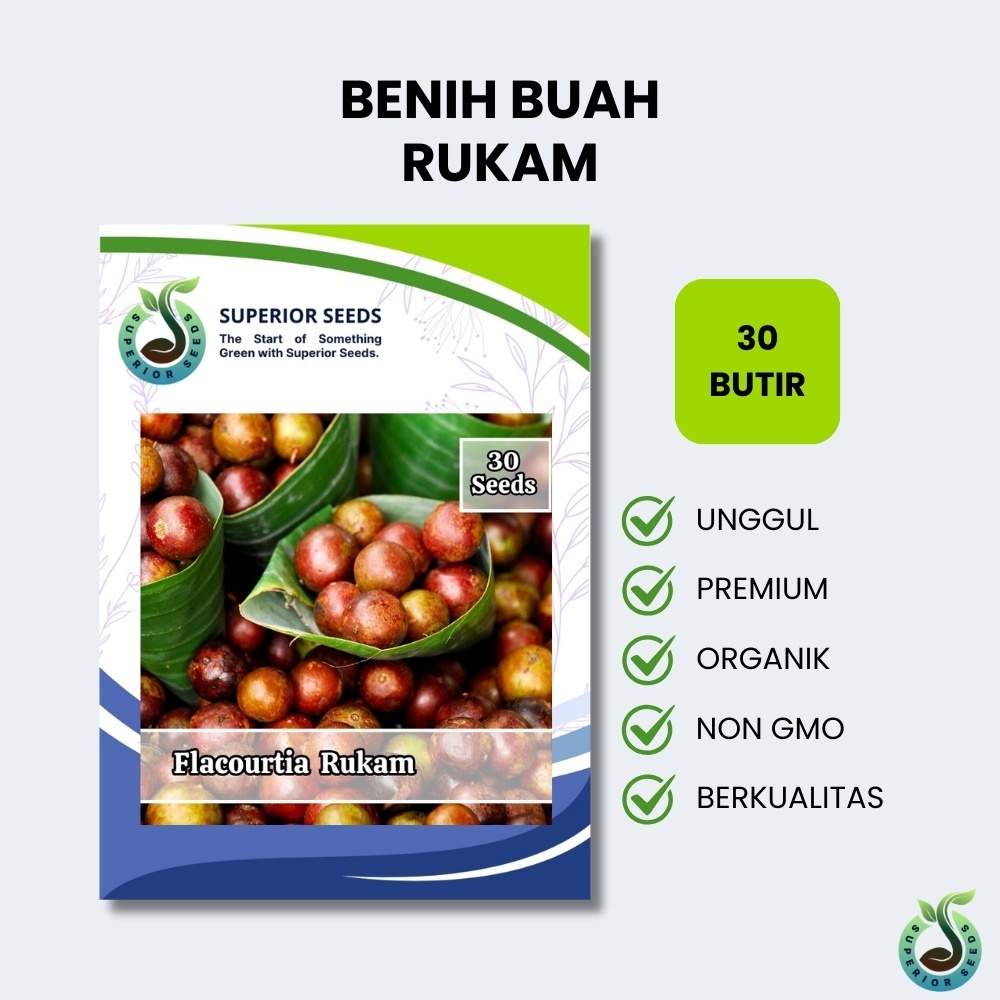 Jual Biji Benih Buah Rukam | Rukem (Superior Seeds) | Shopee Indonesia