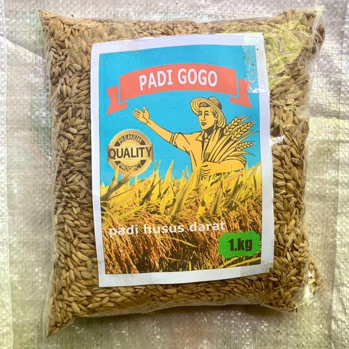 Jual New Bibit Padi Gogo Beras Merah 1Kg Ready | Shopee Indonesia