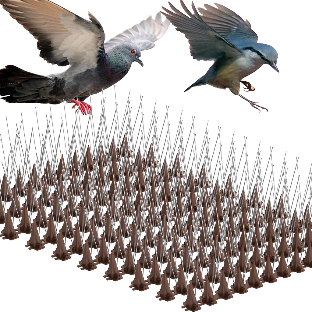 Jual 10Pcs Anti Bird Spikes Strip Stainless Steel Repeller Bird And ...