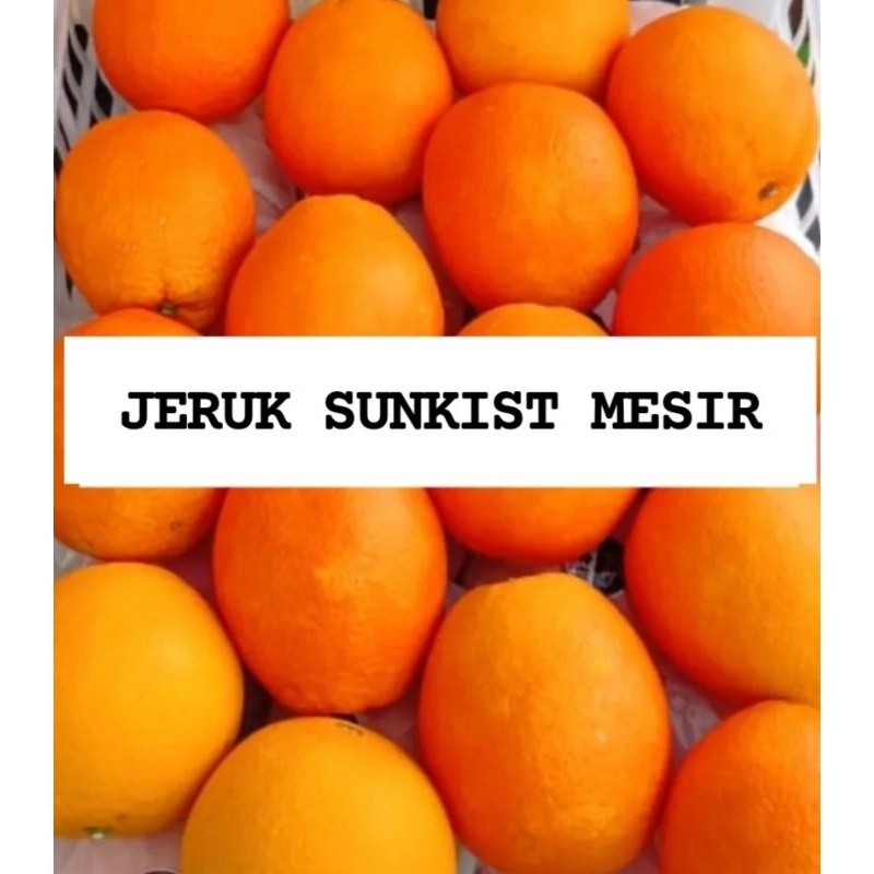Jual JERUK SUNKIST NAVEL MESIR (1 KG ) | Shopee Indonesia