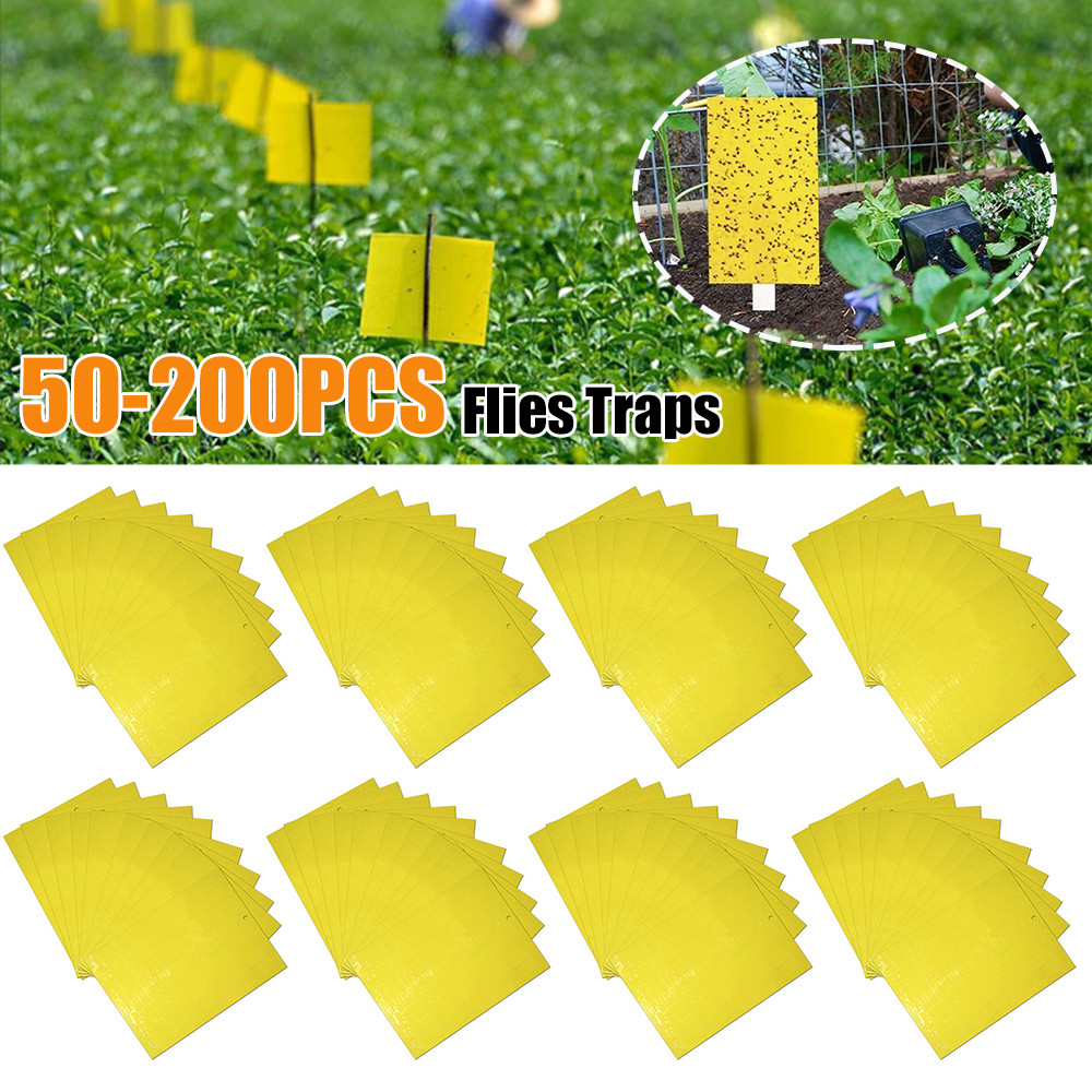 Jual 50pcs Strong Flies Traps Bugs Sticky Board Catching Aphid Insects ...