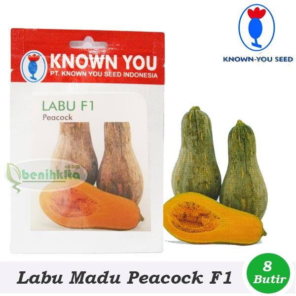 Jual Benih/Bibit Labu Madu Peacock (Known You Seed) | Shopee Indonesia