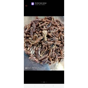 Jual TRIPANG KHAS SURABAYA | Shopee Indonesia