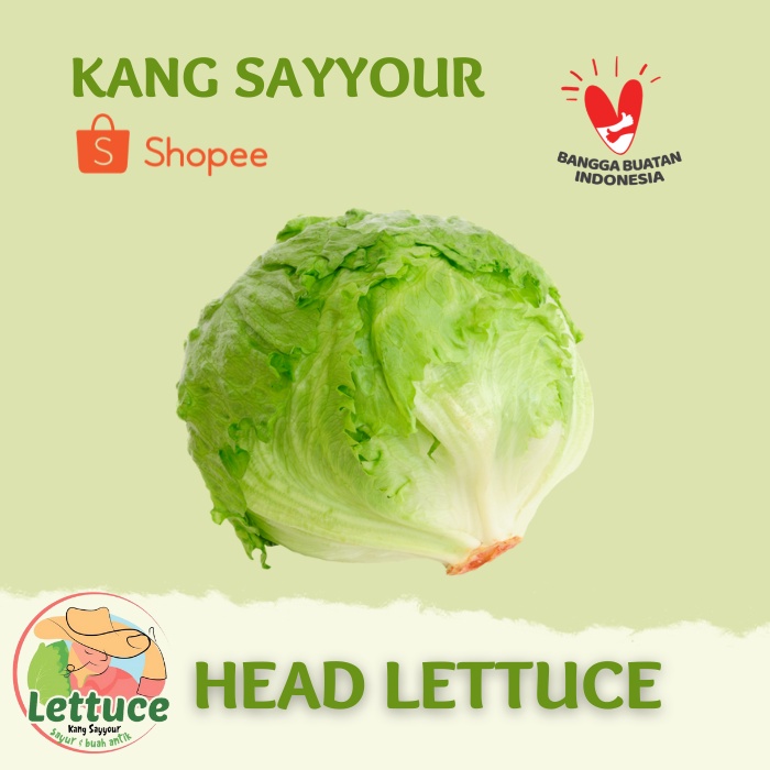 Jual Lettuce Head 1kg GROSIR 10KG TERMURAH Pengiriman H+1. | Shopee ...
